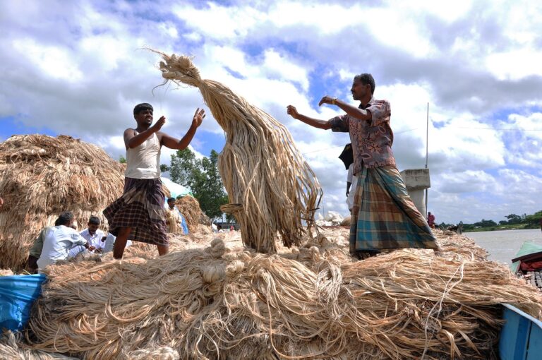 10 Essential Steps In The Journey Of Jute: From Field To Fabrics And ...